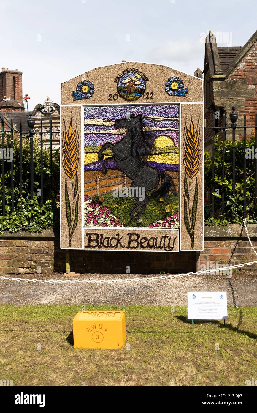 200th Birthday of Anna Sewell well dressing panel of Black Beauty ...