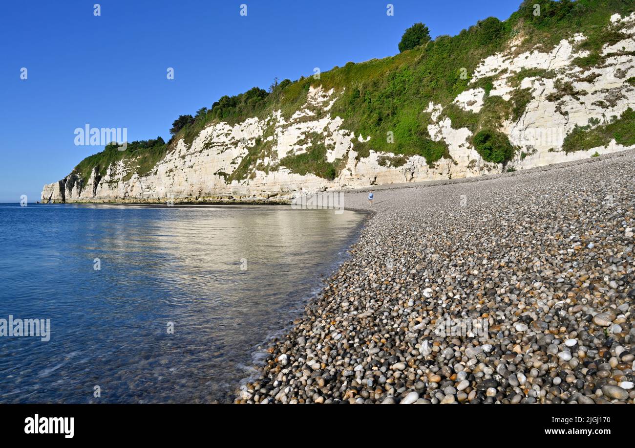 Devon Beer Beach and Beer Head Chalk Cliffs Summer Stock Photo - Alamy