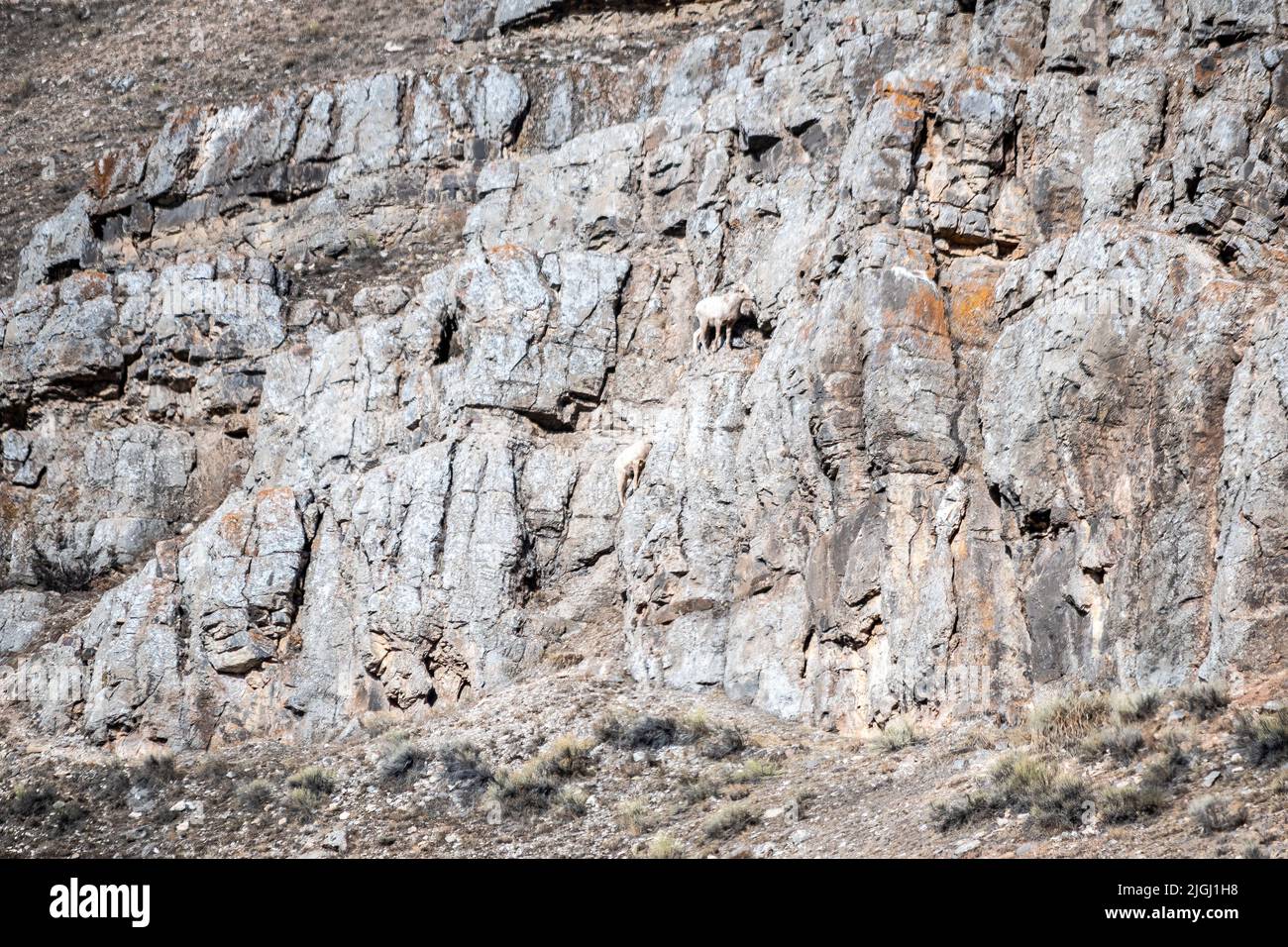 Rocky gray hi-res stock photography and images - Alamy