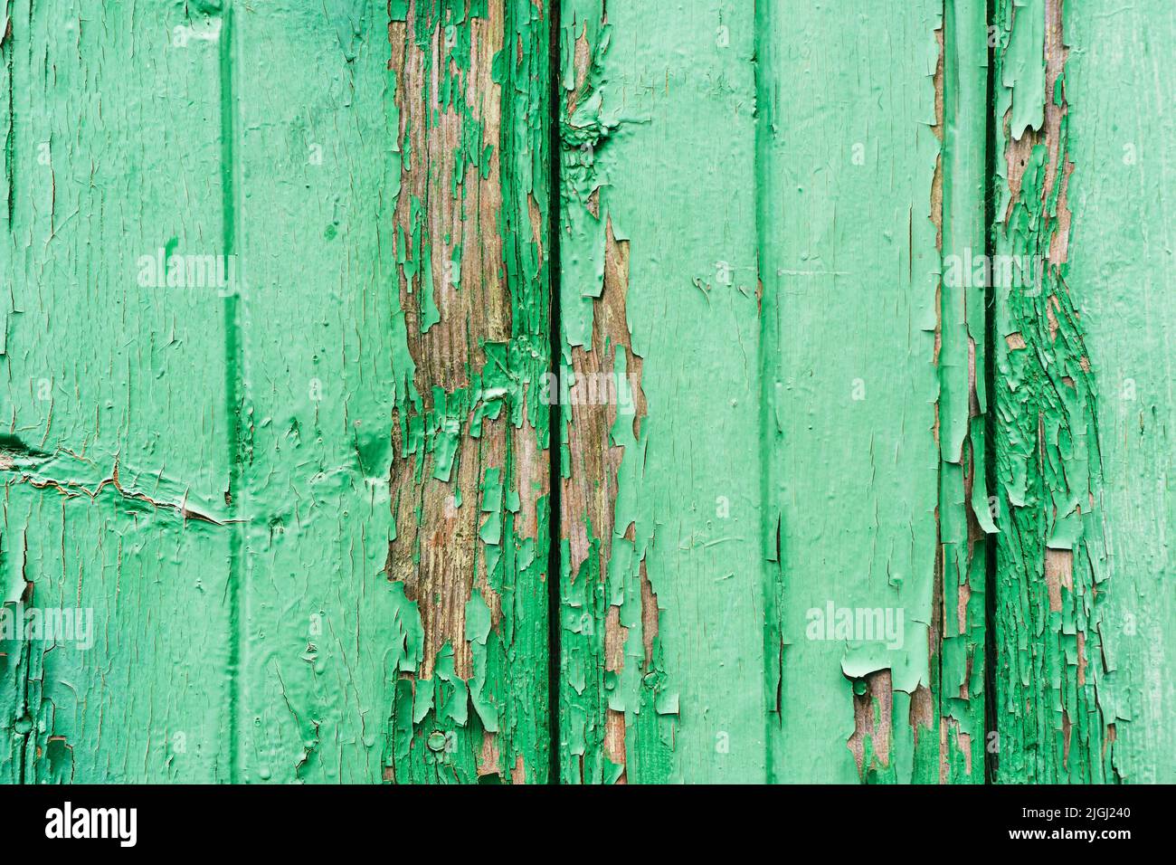 Old wooden planks with cracked peeling green paint. Painted texture ...