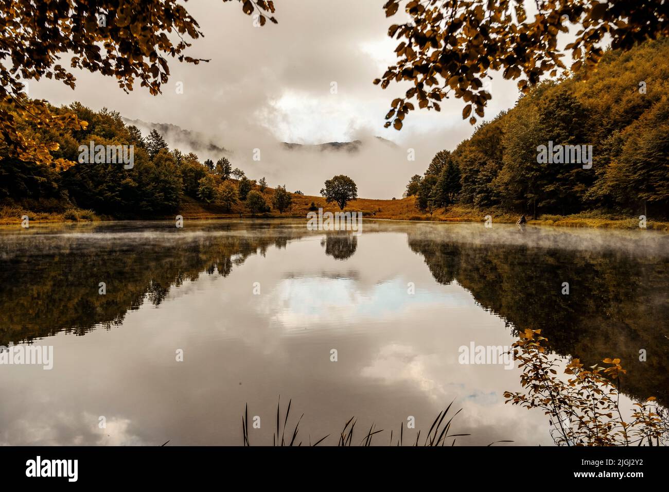 A scenic view of trees in autumn foliage reflected in the pond Stock ...