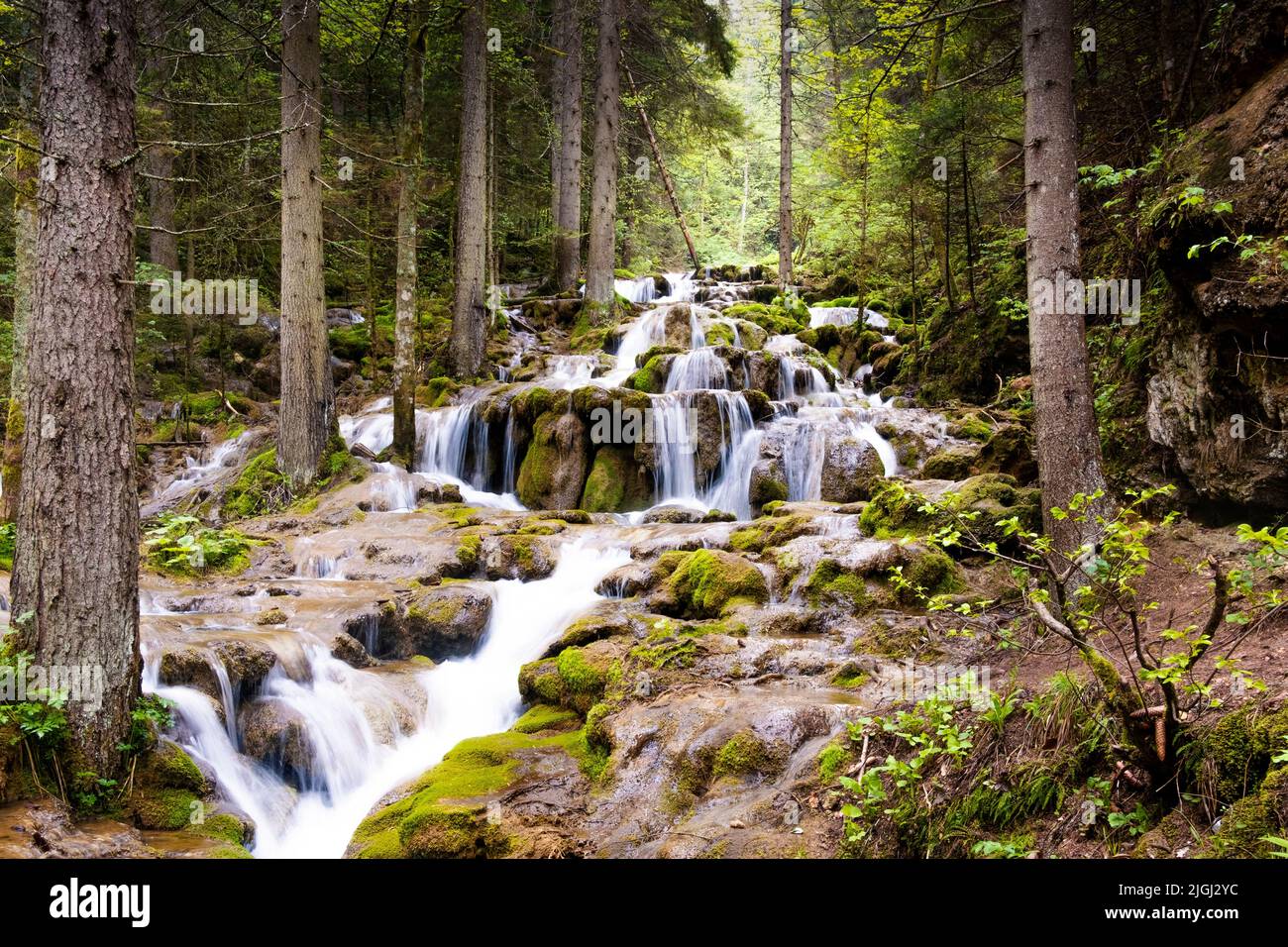 A scenic view of a beautiful waterfall in a forest Stock Photo - Alamy