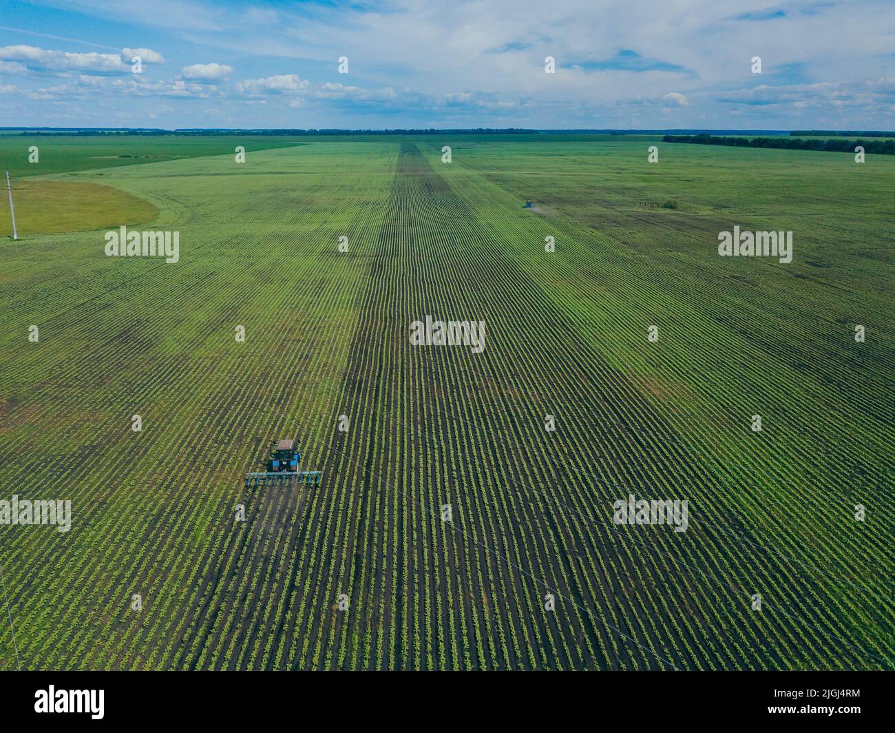 A tractor harrows a green field. Aerial view of farmer tractor ...