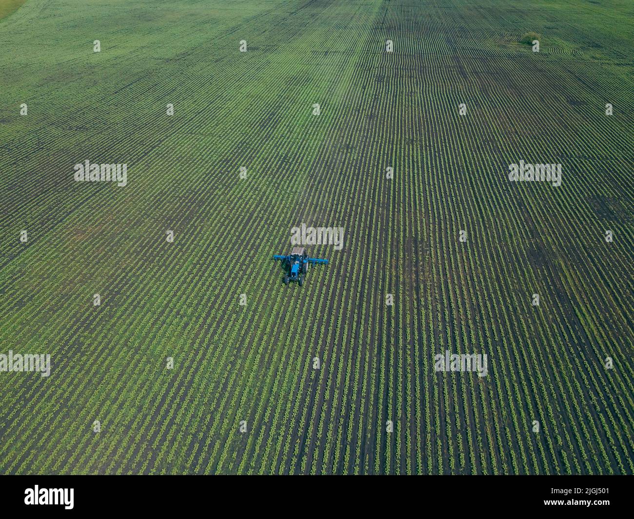A tractor harrows a green field. Aerial view of farmer tractor ...