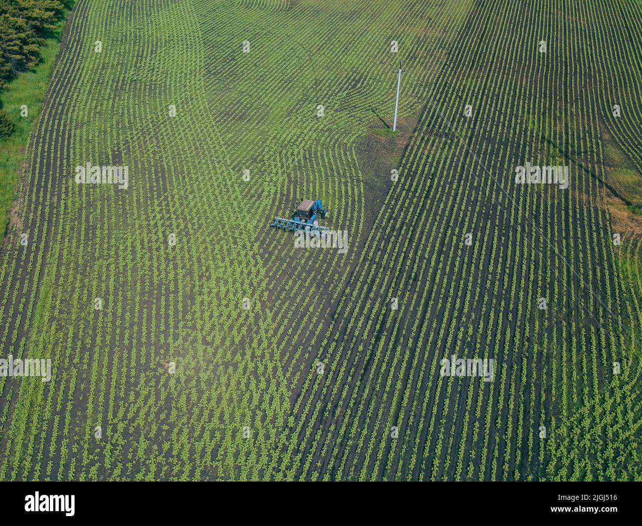 A tractor harrows a green field. Aerial view of farmer tractor ...