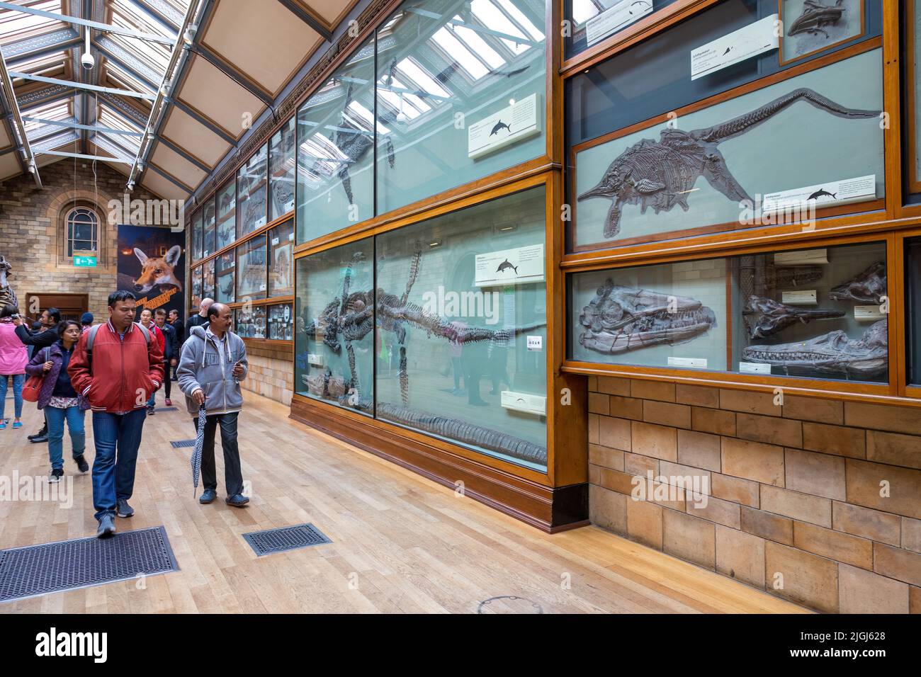 London, UK - 6th June 2017: Visitors enjoy displays of dinosaur fossils ...