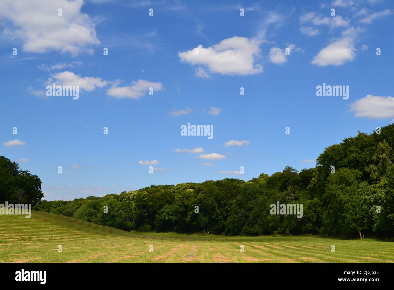 Fields, woods and blue sky around Downe and Cudham, Kent, England ...