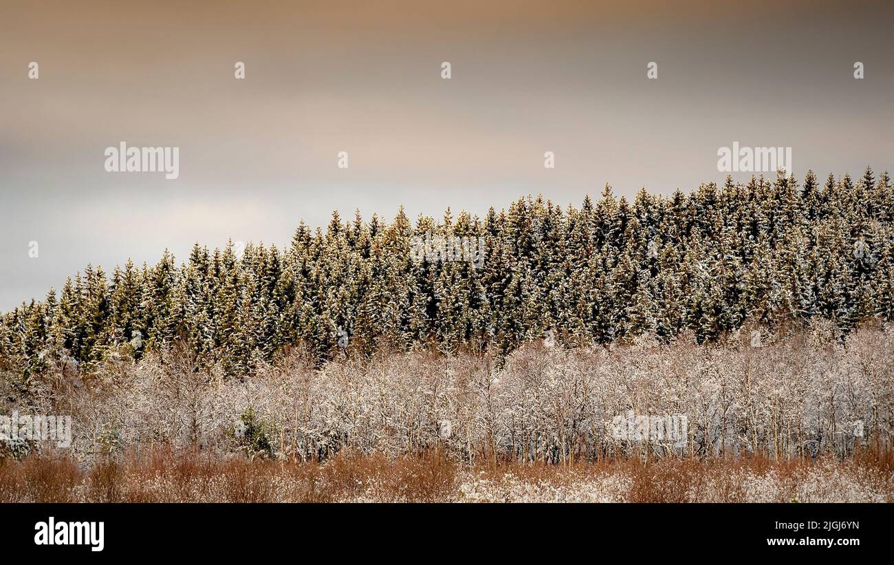 Soderasen national park hi-res stock photography and images - Alamy