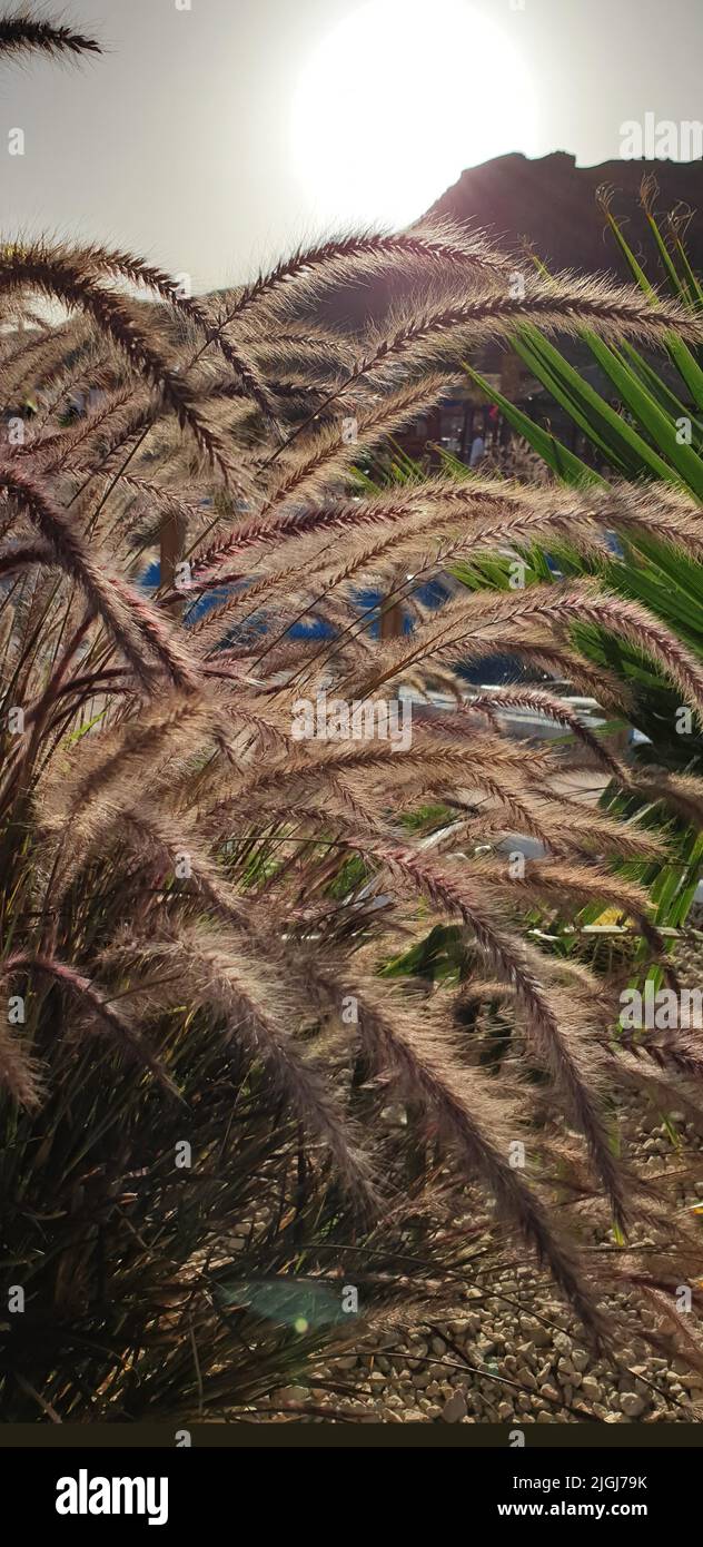 Place land Stock Vector Images - Alamy