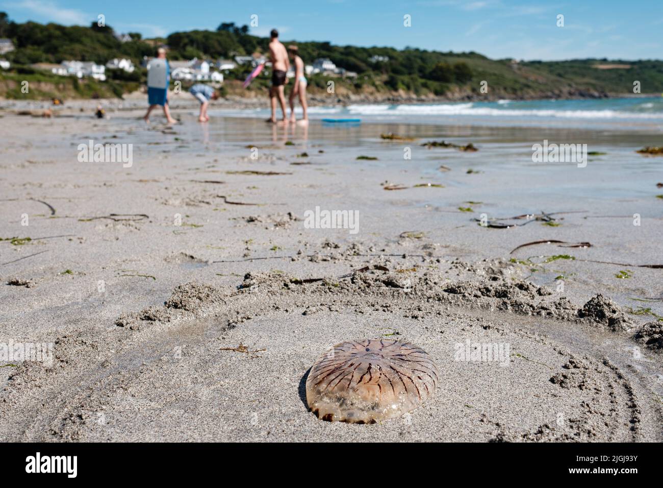View of Coverack beach, Cornwall Stock Photo - Alamy