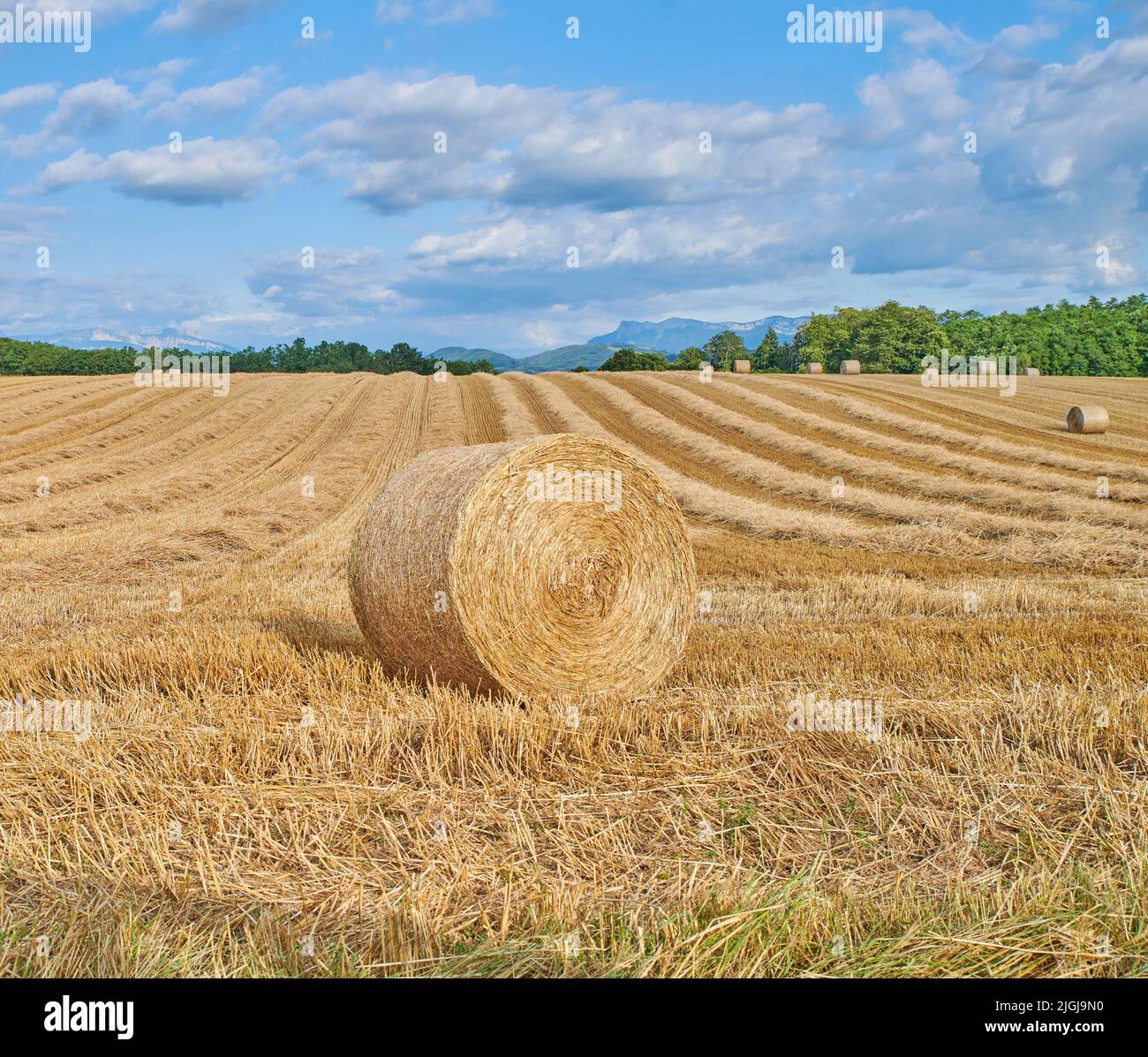Countryside, farmland and forest - close to Lyon, France. A series of ...