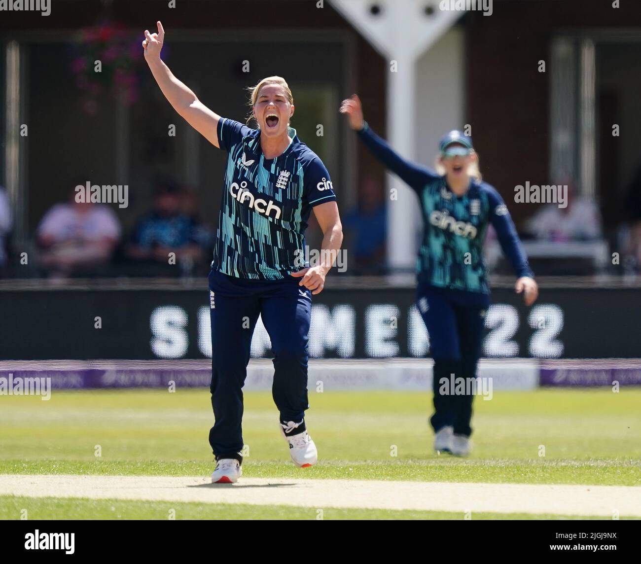 Taking wicket south africas andrie steyn hi-res stock photography and ...