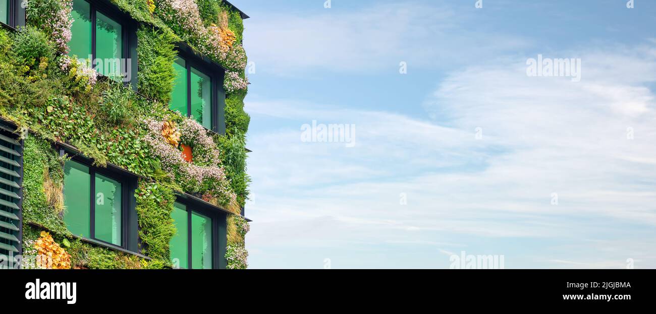 Exterior of a green sustainable building covered with blooming vertical ...