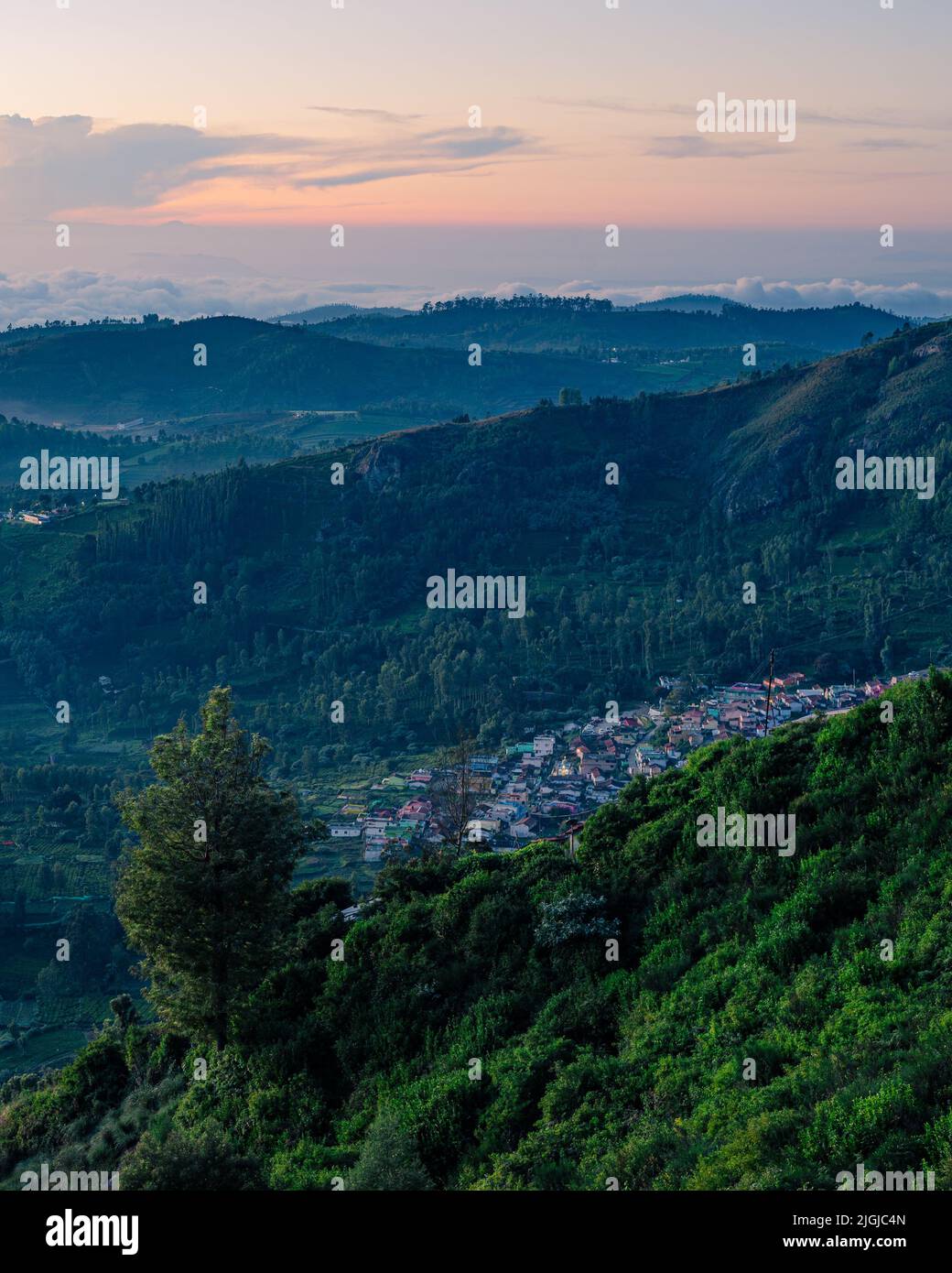 Sunset dawn valley with scenic trees in summer fog trees hi-res stock ...