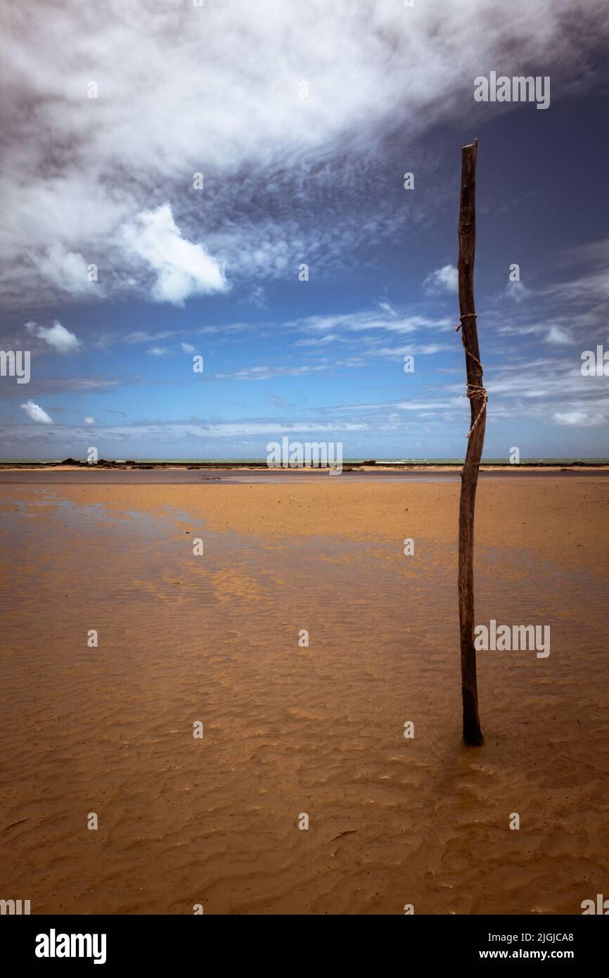 Beautiful lonely beach. A buried wooden stick. Low tide on the beach ...