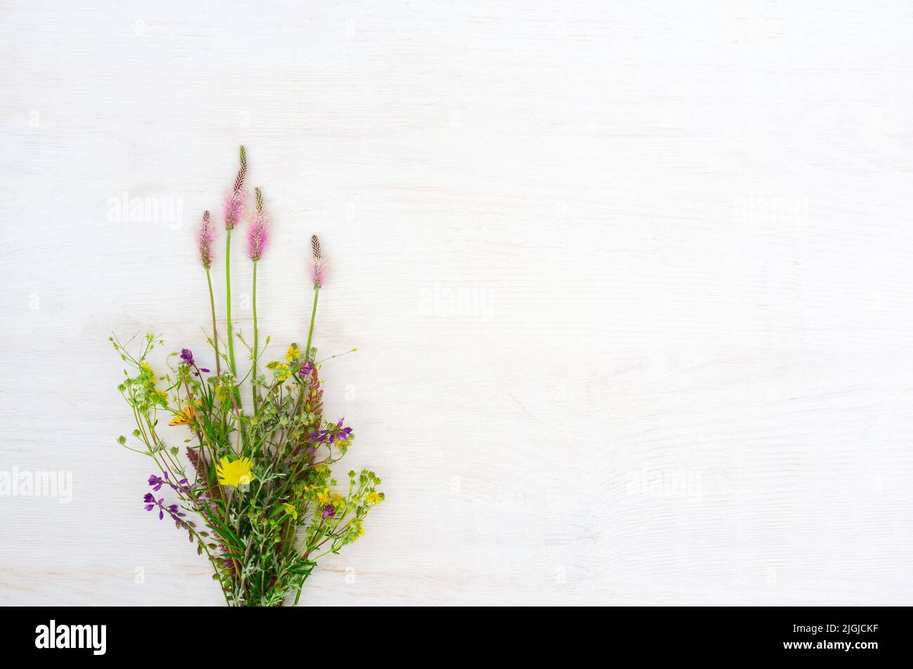 Spring flowers sheaf on white background, void Stock Photo - Alamy
