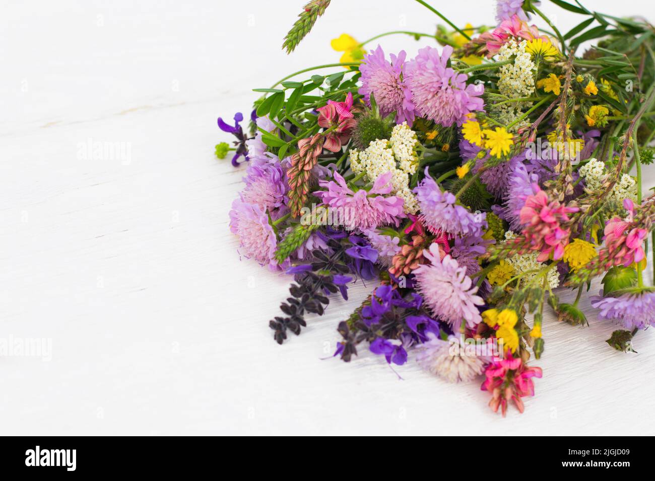 Colorful bouquet of wildflowers, white background Stock Photo - Alamy