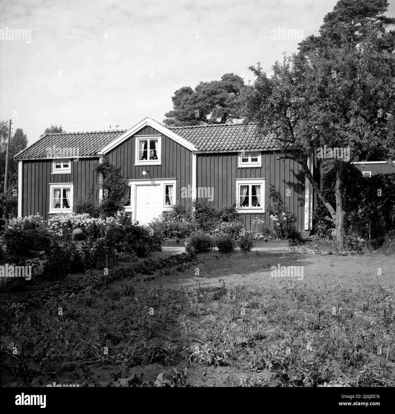 Mrs. Hilda Alfréd's residential building in Tromtösunda 1965 Stock ...