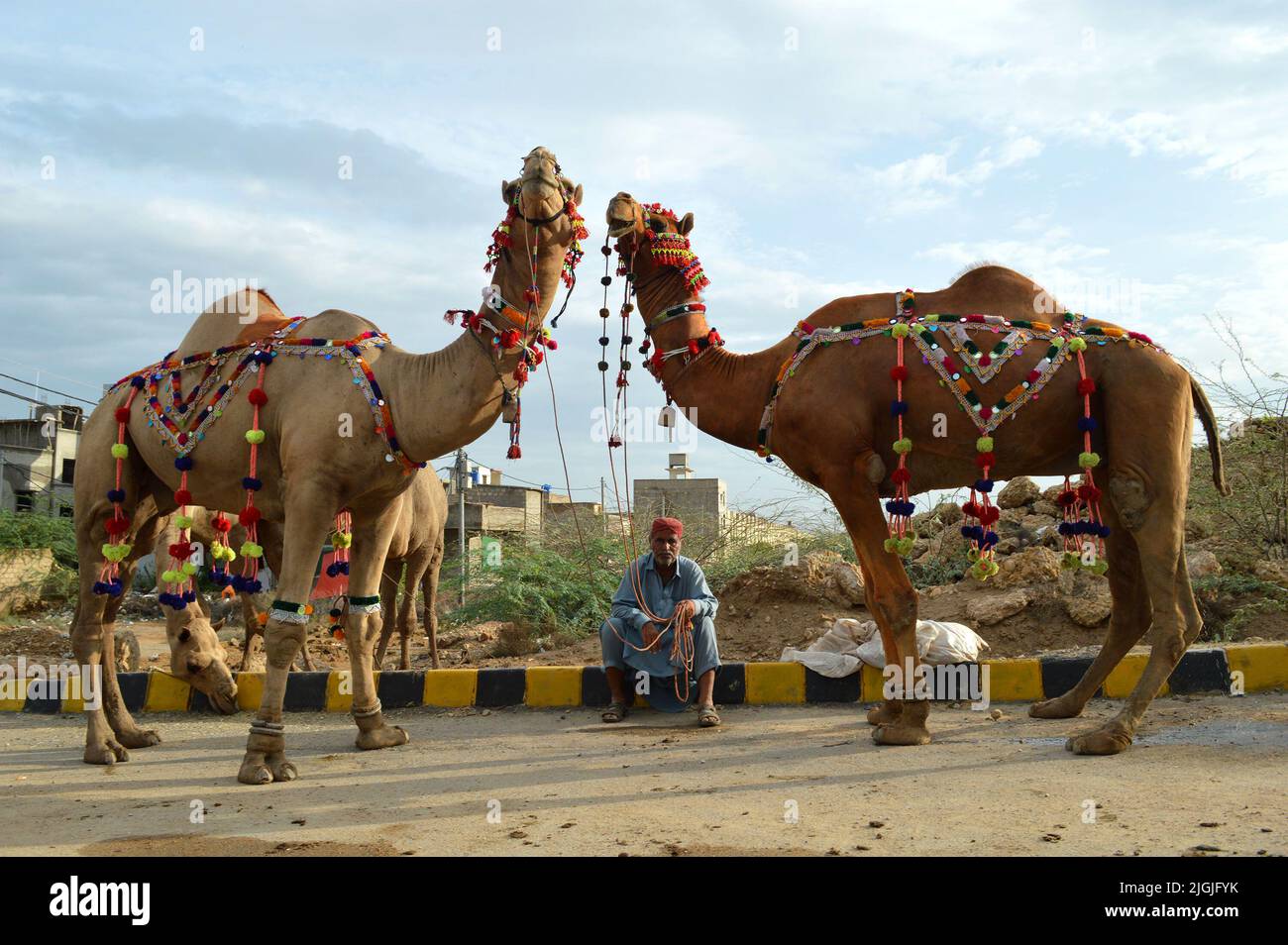 Karachi. 9th July, 2022. A camel trader waits for customers in Karachi ...