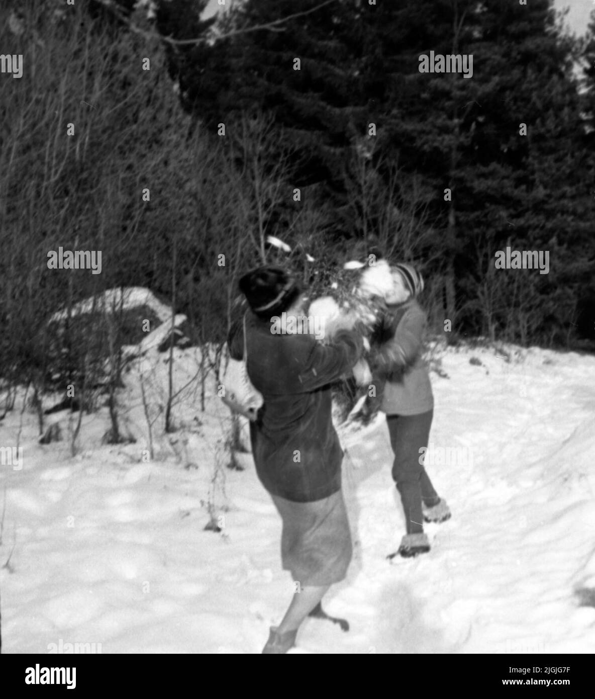 Group people snowball fight hi-res stock photography and images - Alamy
