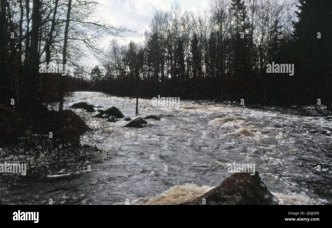 Vattendrag Forsen at Mörtsjöåsen Stock Photo - Alamy