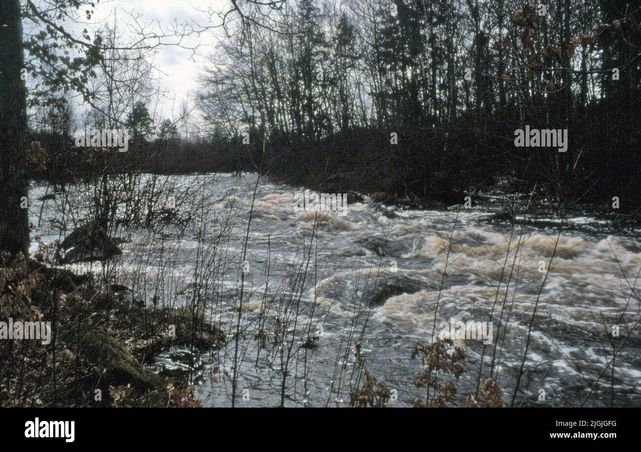 Vattendrag Forsen at Mörtsjöåsen Stock Photo - Alamy