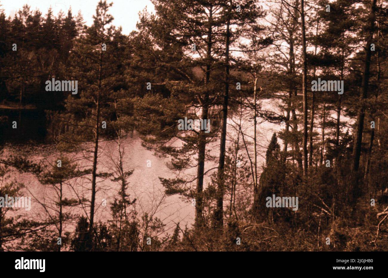 Vattendrag Ronnebyån flows through Backaryd Stock Photo - Alamy