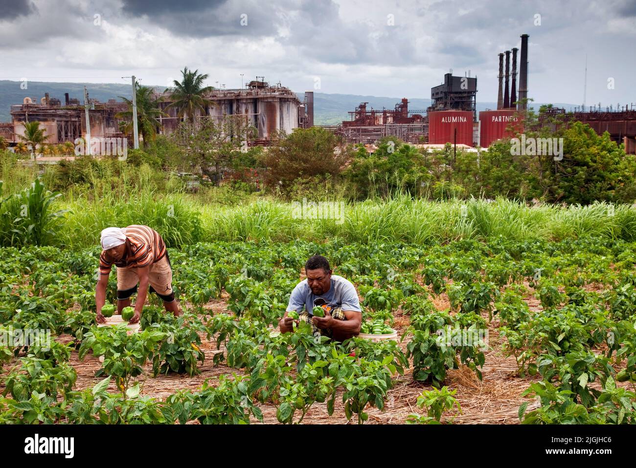 Rural jamaica hi-res stock photography and images - Alamy