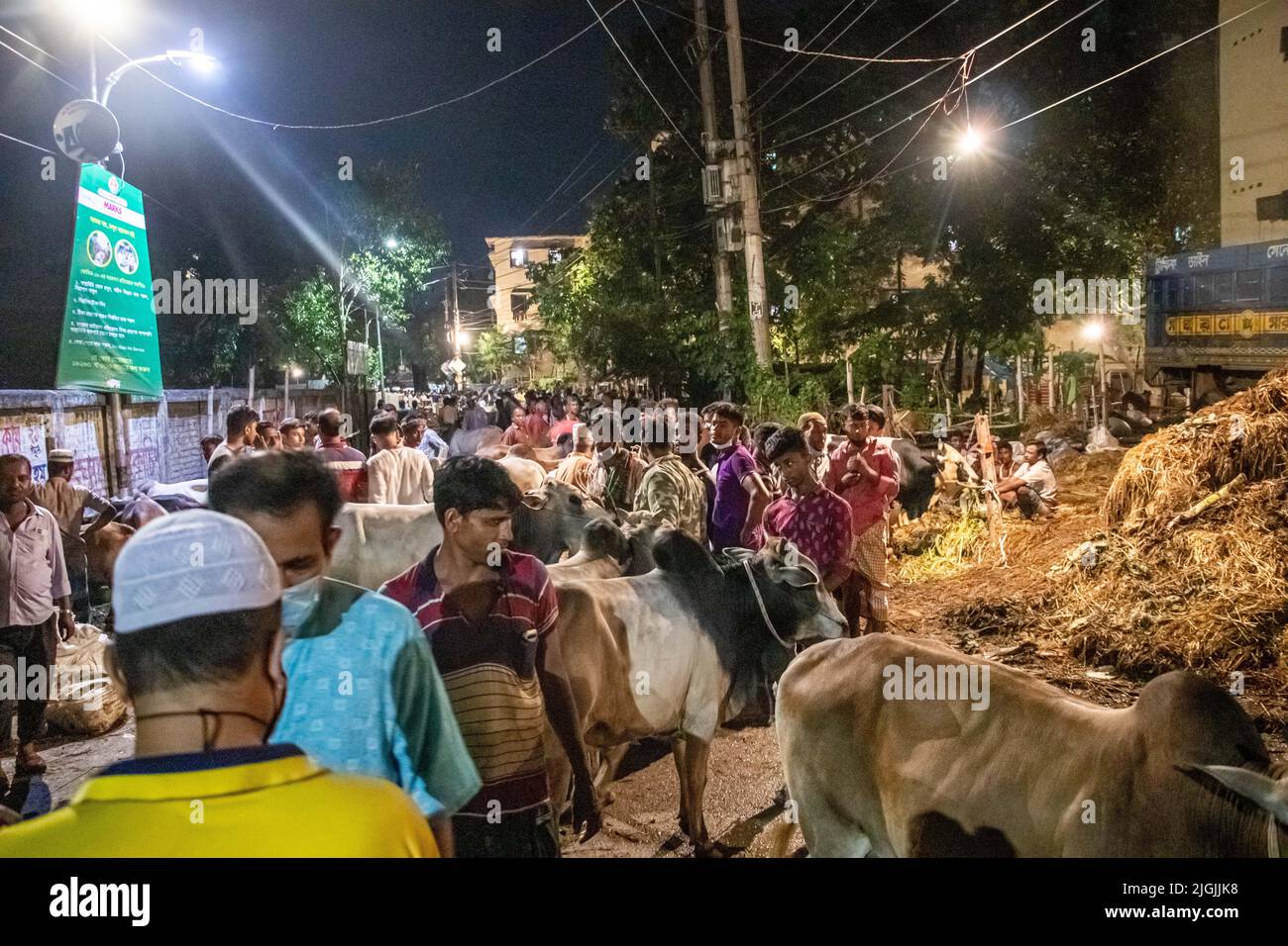Dhaka, Bangladesh. 08th July, 2022. Vendors selling cows in the market ...