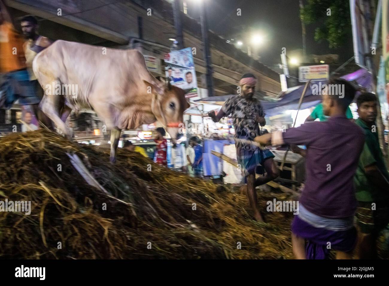 Plans To Sell Bartheld Panda Cow