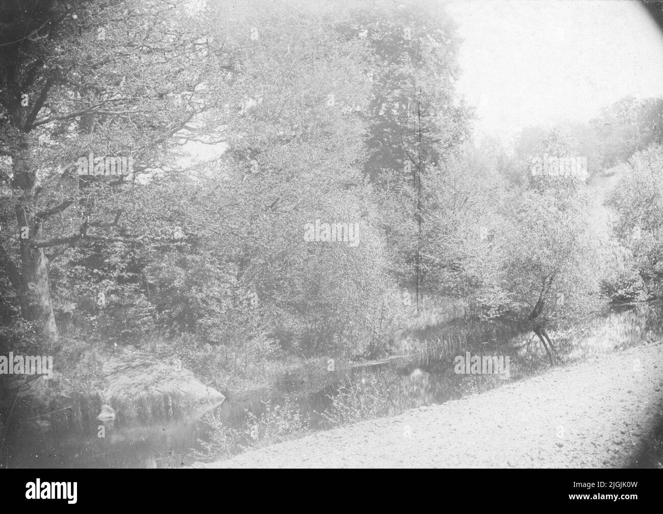 Vattendrag Nättrabyån. July 1901 Stock Photo - Alamy