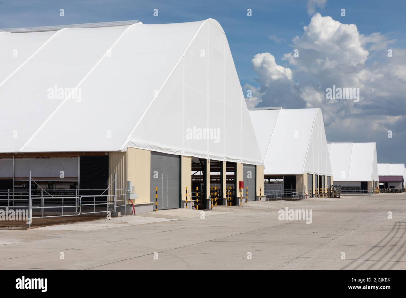 Cascade of tent buildings on a modern cow farm Stock Photo - Alamy