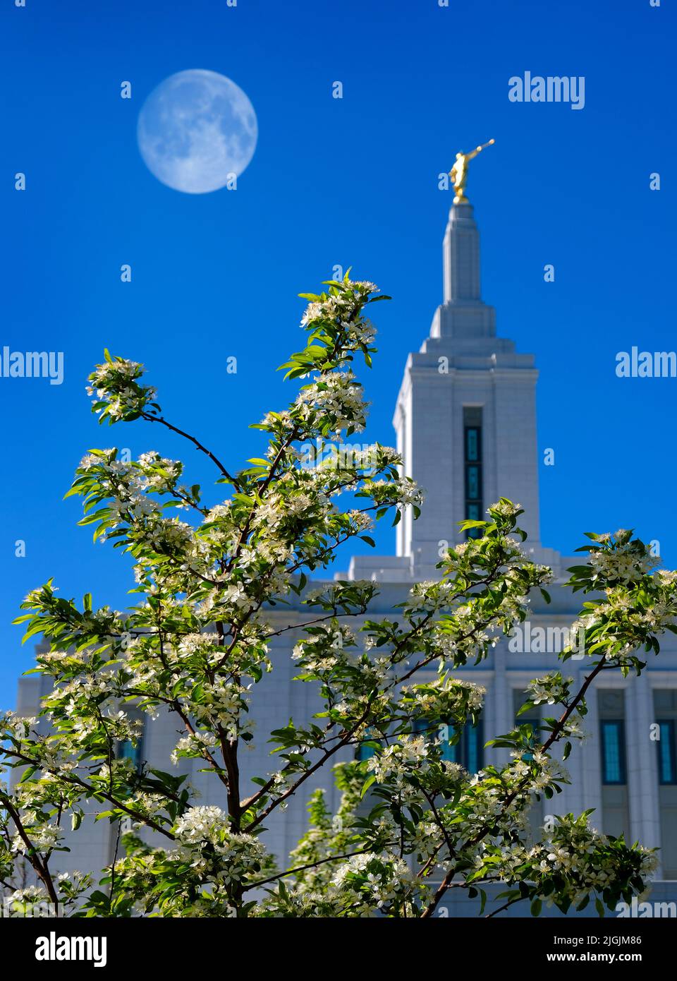 Pocatello Idaho LDS Temple building Mormon Church of Jesus Christ ...