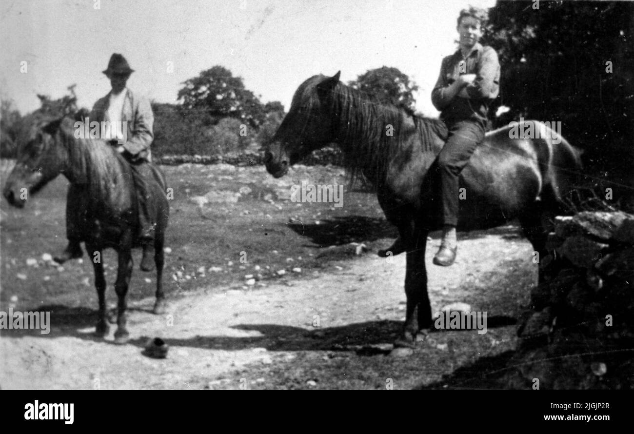 Häst Östernäs, Senoren, late 1920s. To the right a Northern Swedish ...