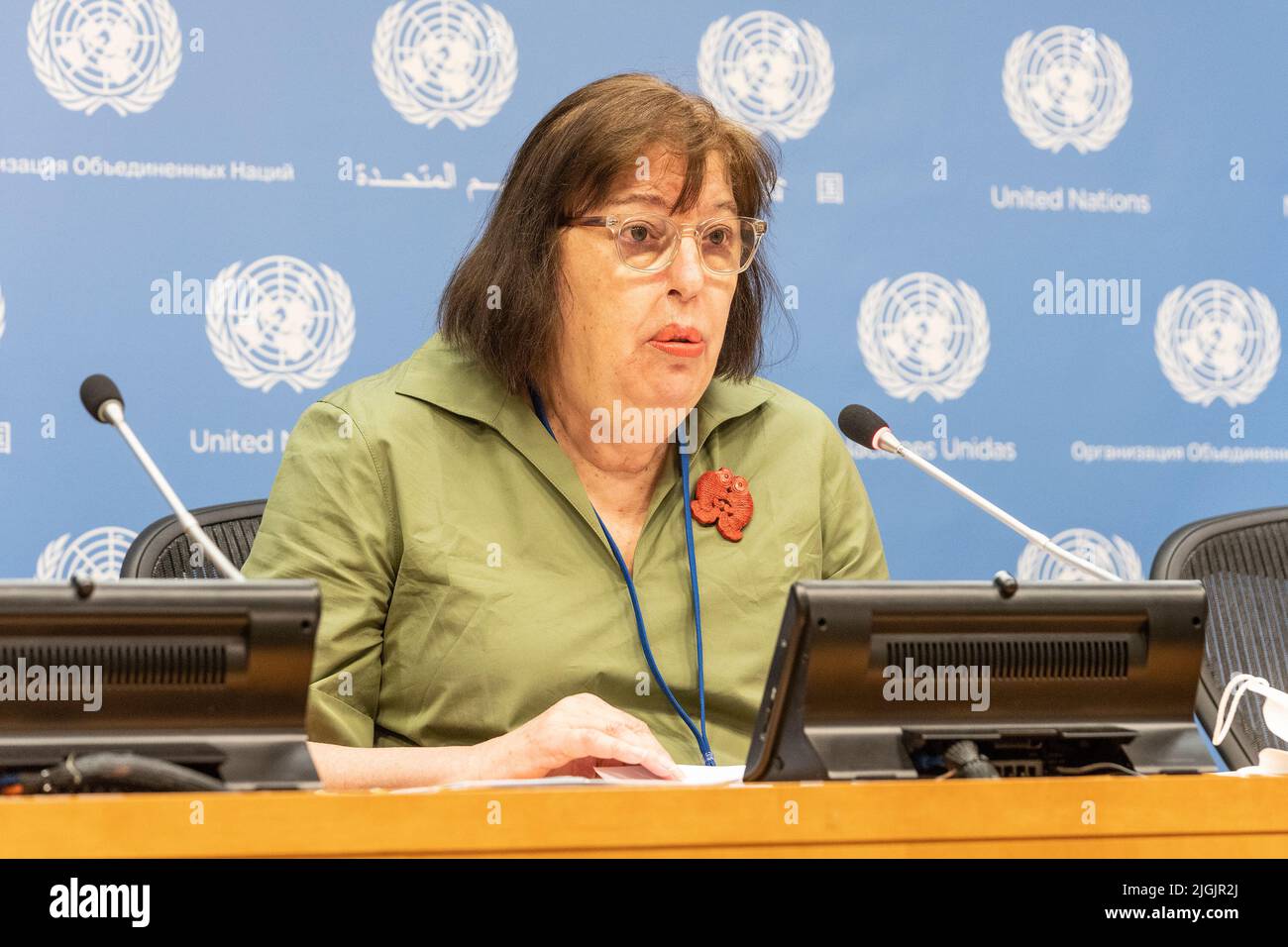 Press Briefing by Special Representative of the Secretary-General for ...