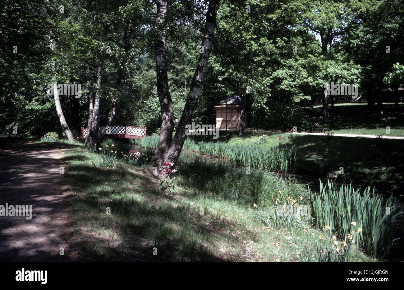 Wooden walkway bridge watercourse hi-res stock photography and images ...