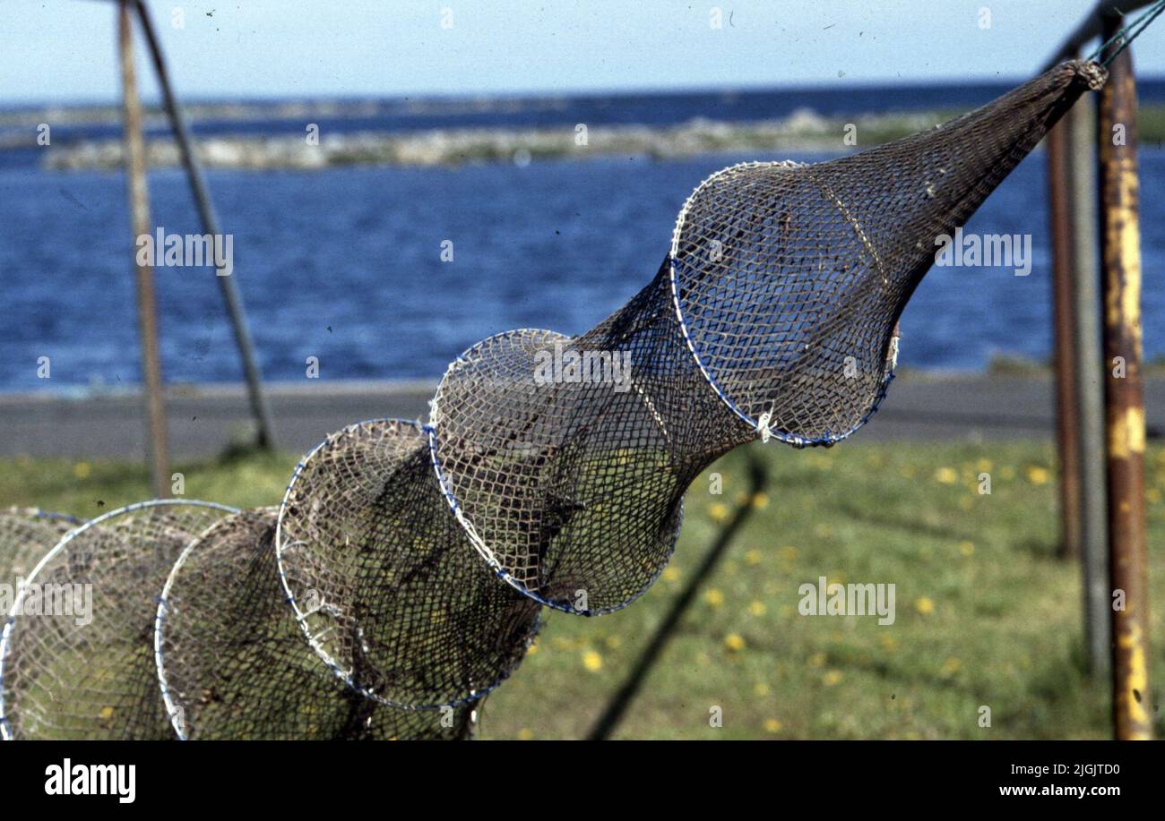 A Russian on the dryer Stock Photo - Alamy