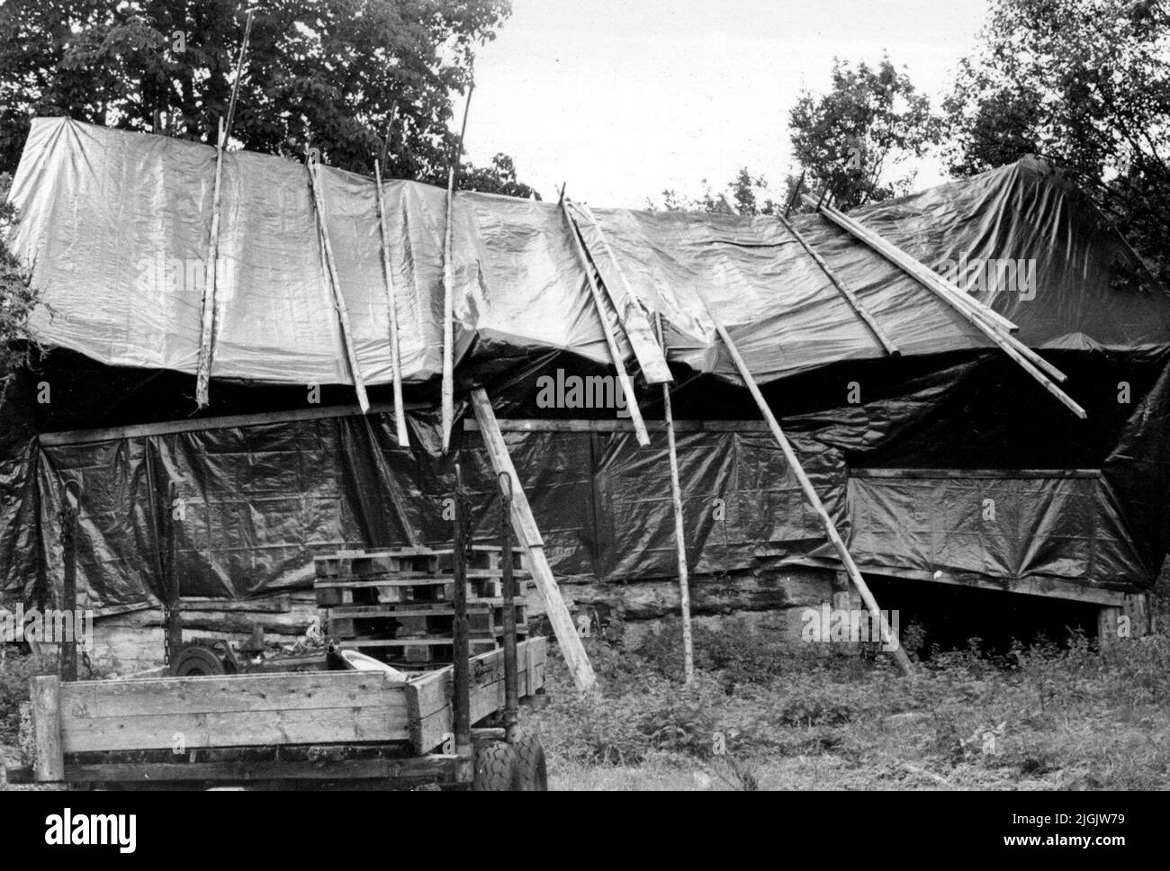 Timber knot Black and White Stock Photos & Images - Alamy