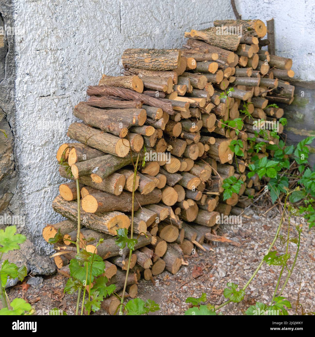 Stacked Wood Logs Ready for Winter Heating House Stock Photo - Alamy