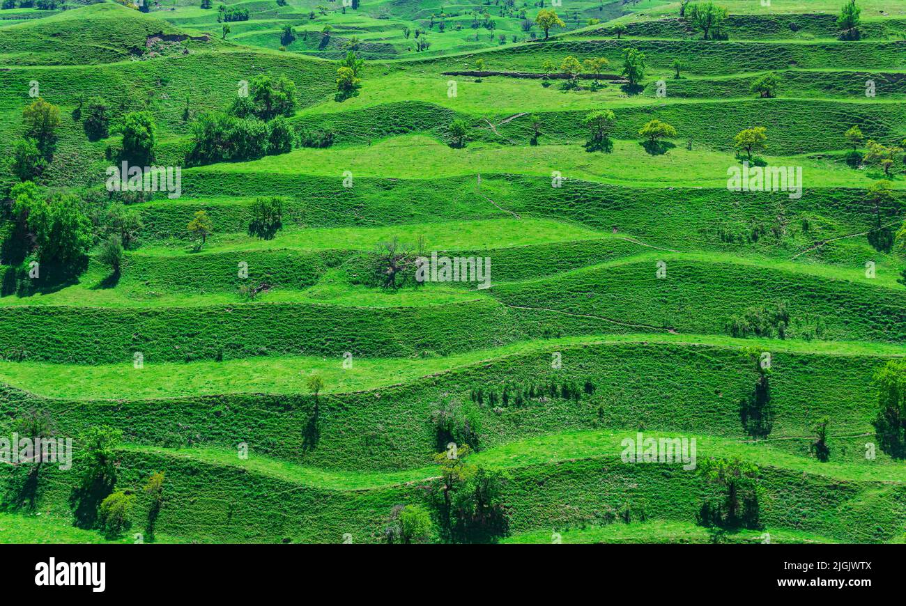 mountain landscape with green terraced hay fields on the slopes Stock ...