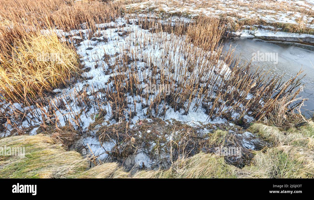 Danish Winter landscape by the coast of Kattegat. Photos of Danish ...