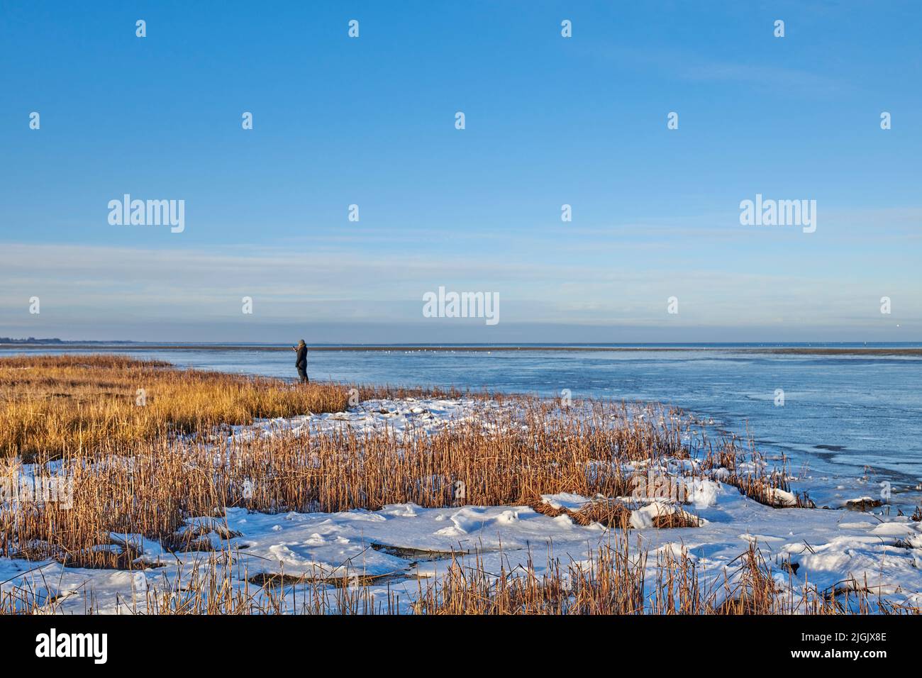 Danish Winter landscape by the coast of Kattegat. Photos of Danish ...