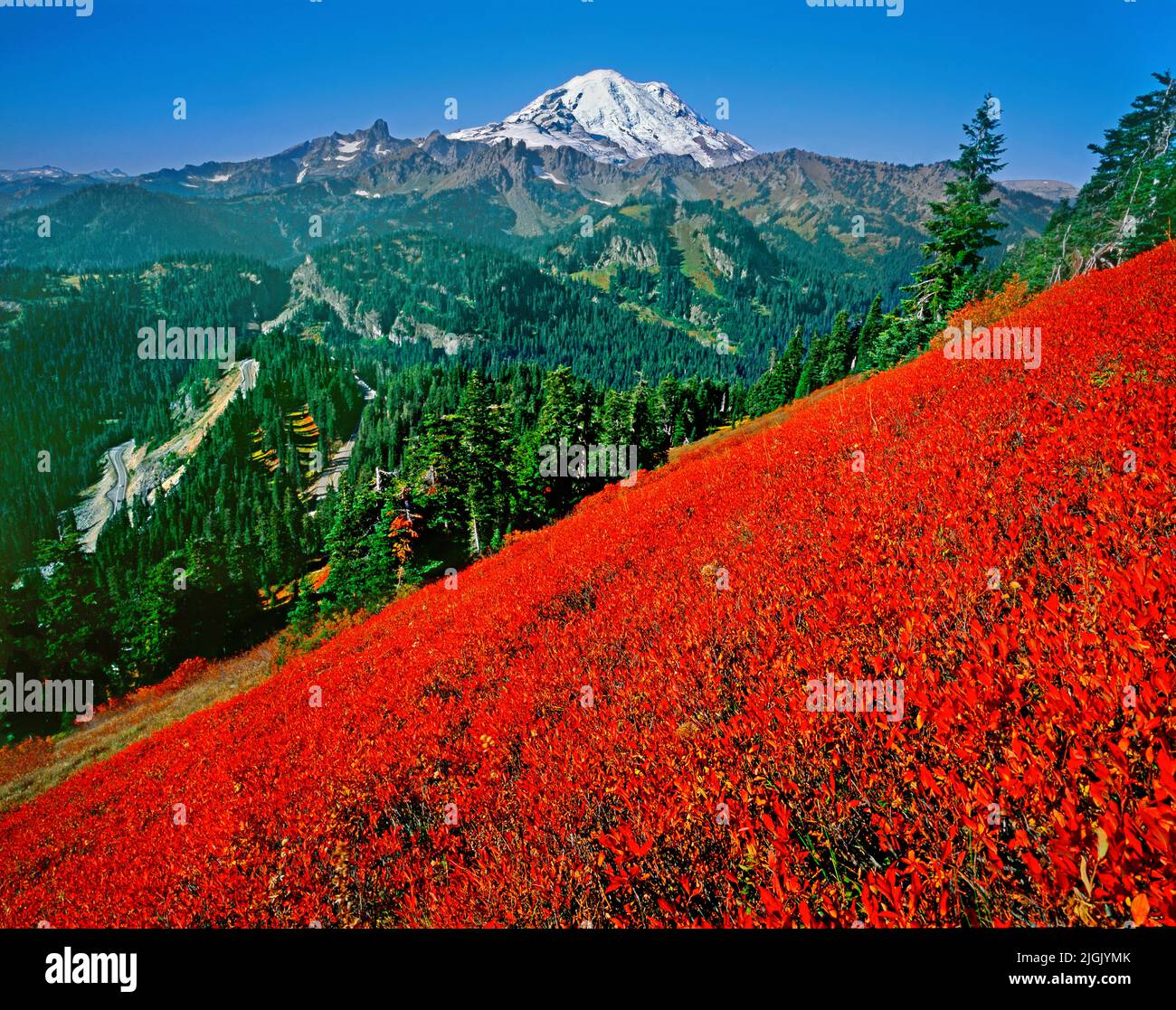 Mt. Rainier National Park in autumn Stock Photo - Alamy