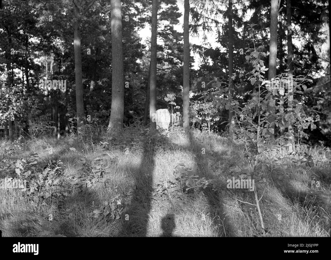 Arkeologi Grave field in Vedeby, Augerum parish Stock Photo - Alamy