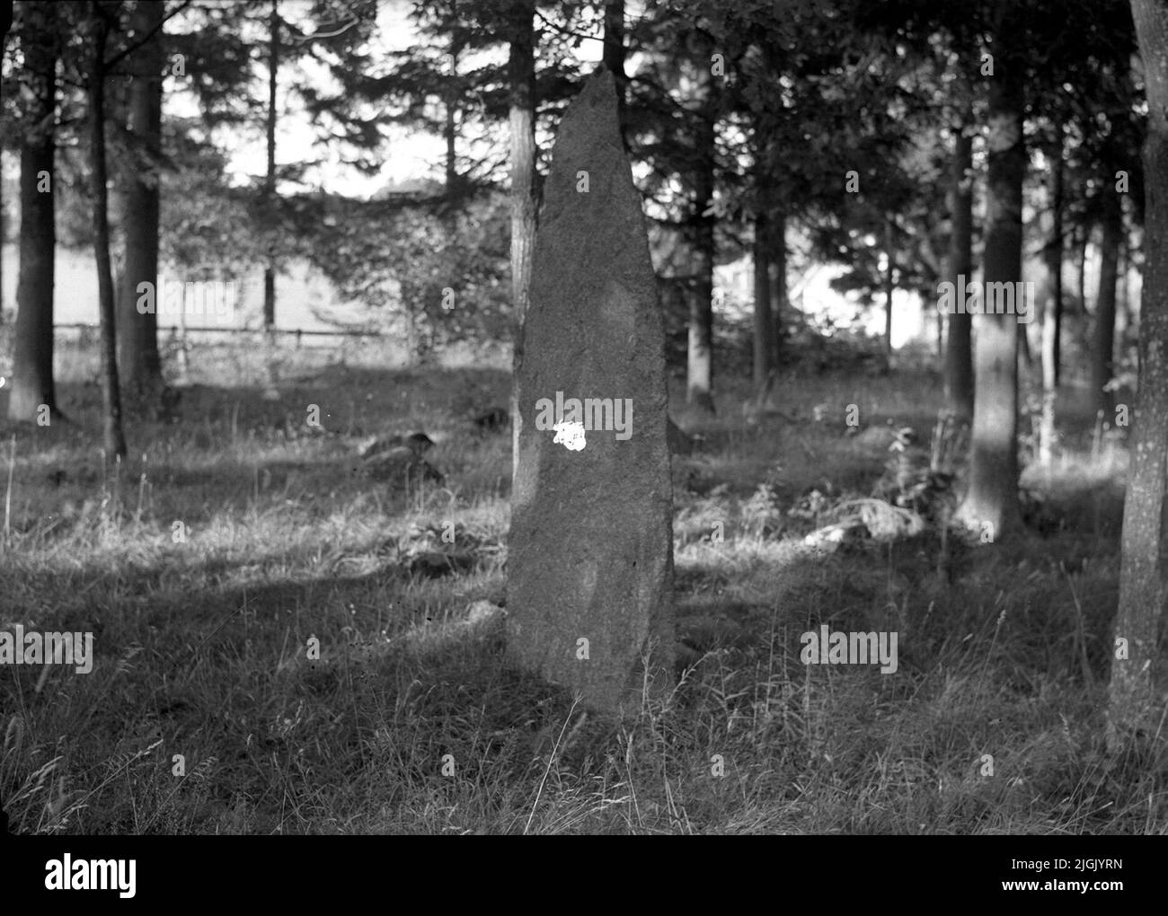 Arkeologi Grave field in Vedeby, Augerum parish Stock Photo - Alamy