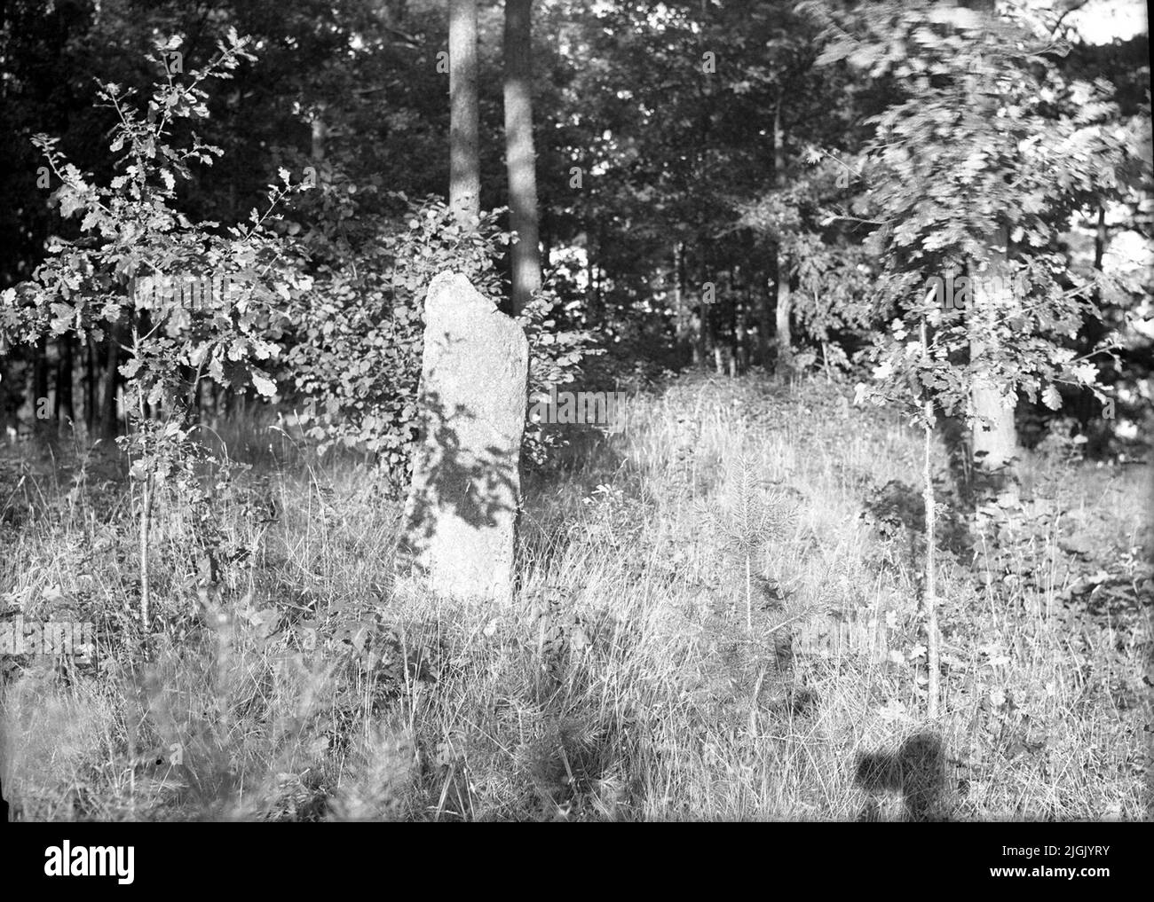 Arkeologi Grave field in Vedeby, Augerum parish Stock Photo - Alamy