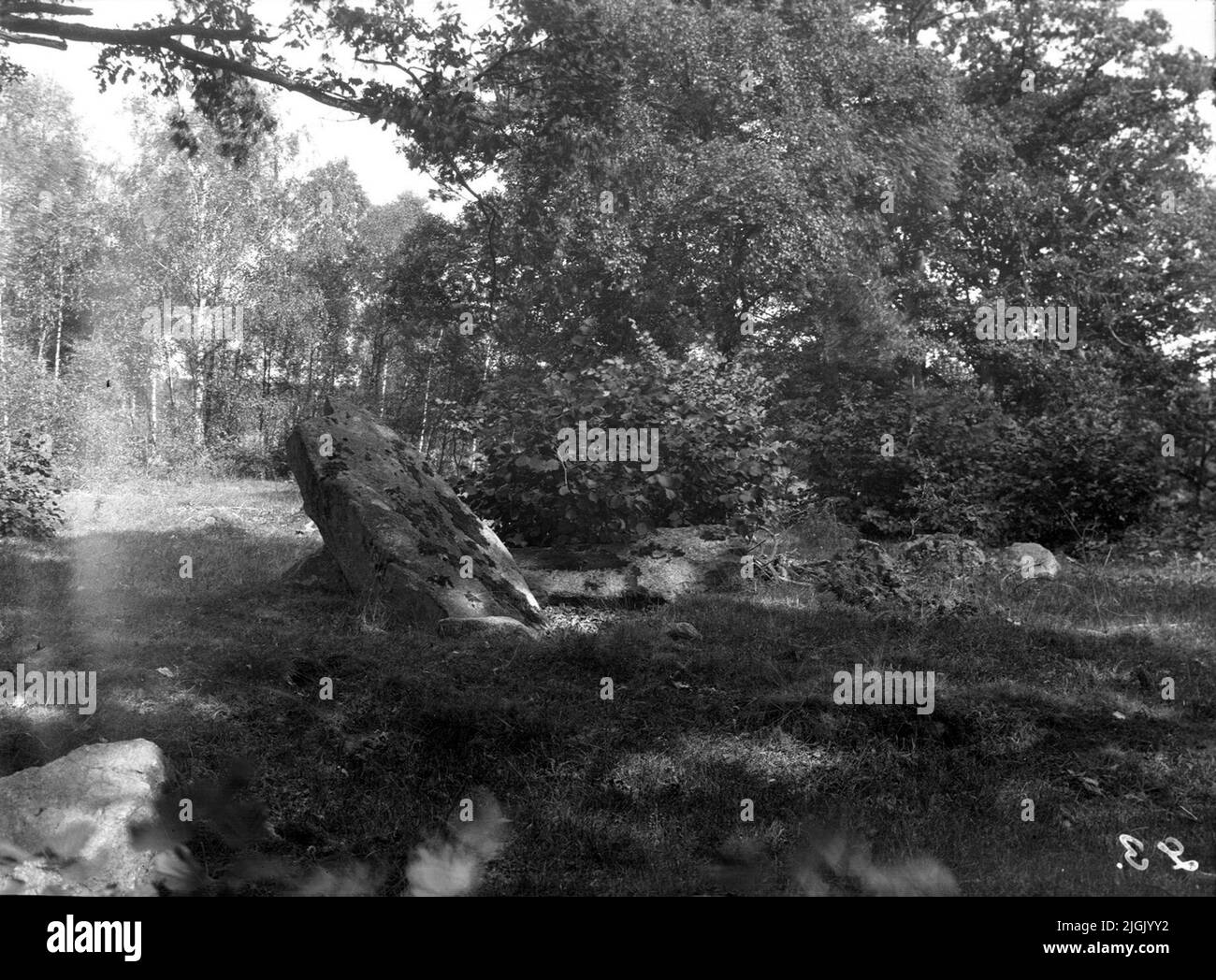 Gravfält Bautasten on the burial ground on Store Backe, Hallarum, Jämjö ...