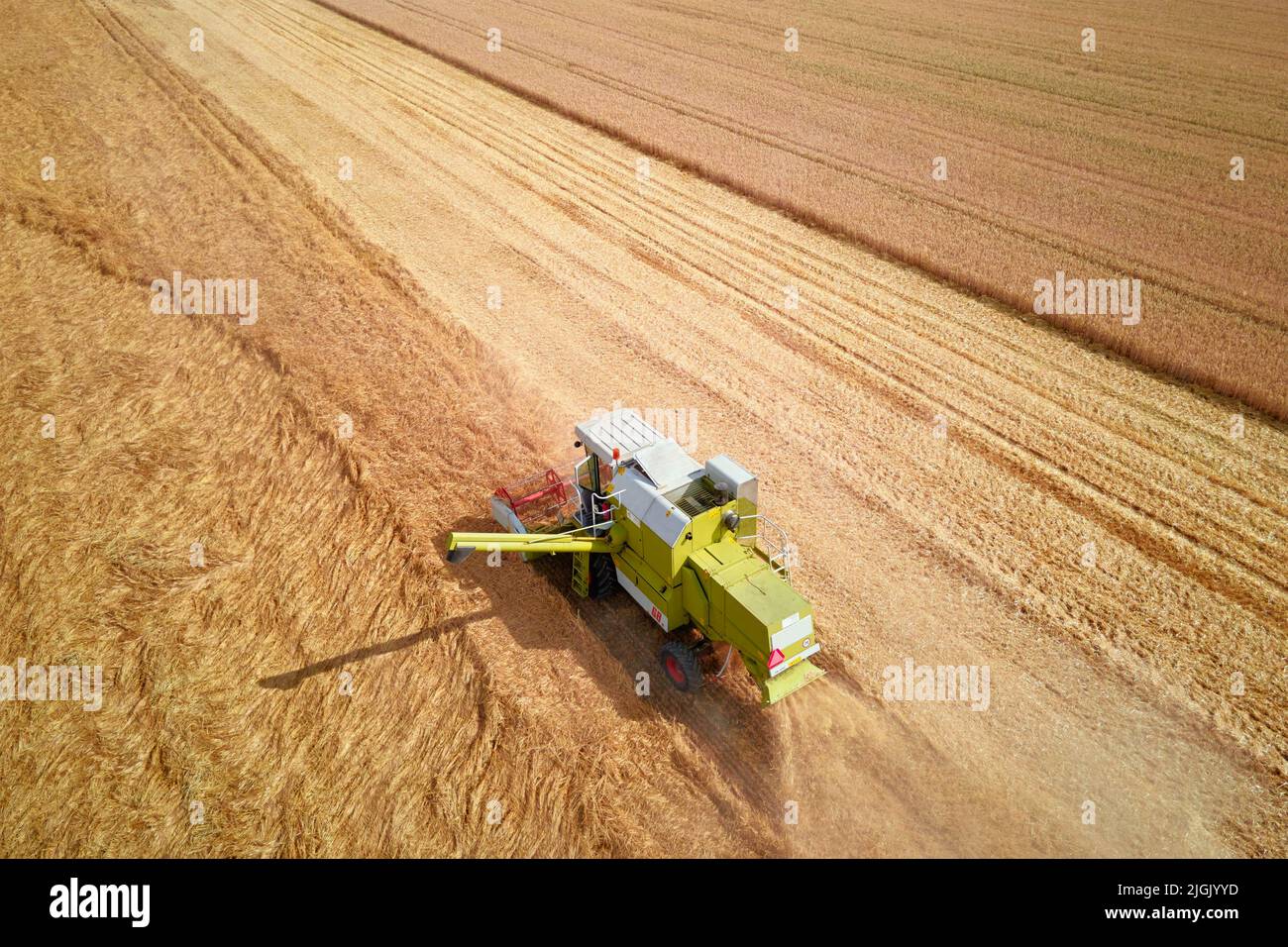 Combine harvester collecting golden wheat field, Harvesting machine ...