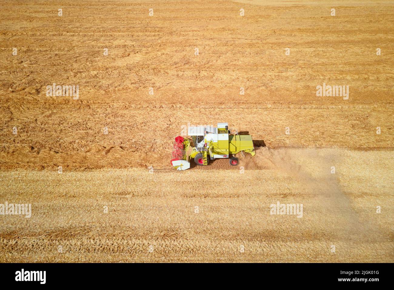 Combine harvester collecting golden wheat field, Harvesting machine ...