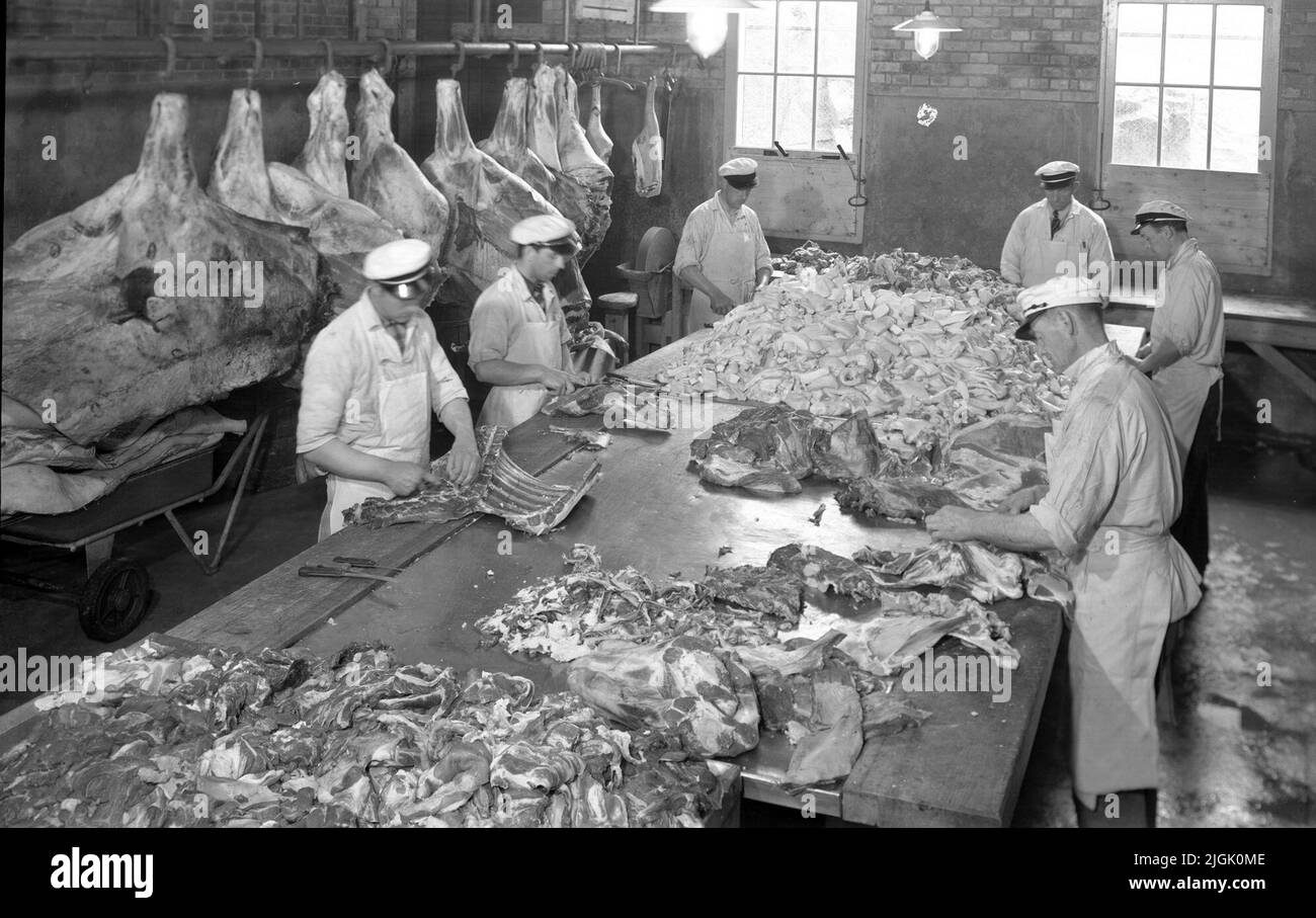 Köttproduktion Cutting meat at KBS slaughterhouse at a blue gate in ...